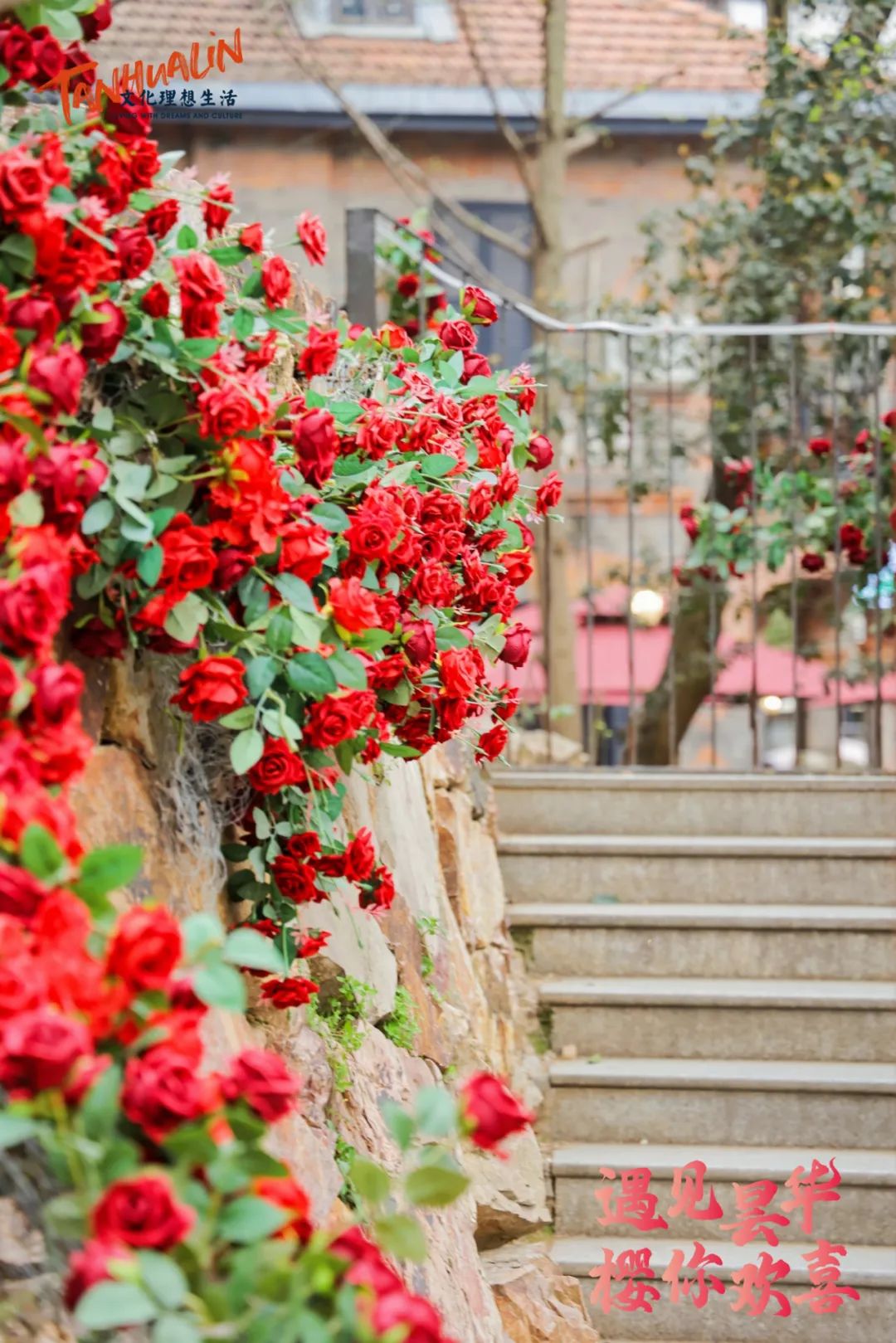 昙华林必去的10大热门打卡点，赶紧收藏！